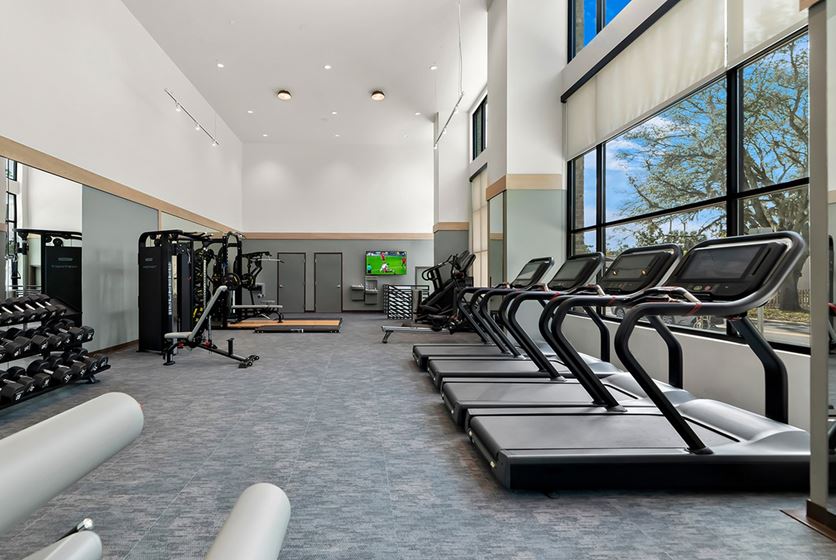 Nine31 Student Apartments in Gainesville, Florida - Swamp Rentals