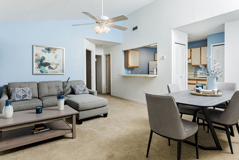 The Polos Apartments Gainesville - Swamp Rentals