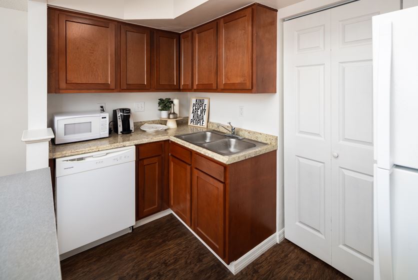 University Commons Apartments Gainesville - Swamp Rentals