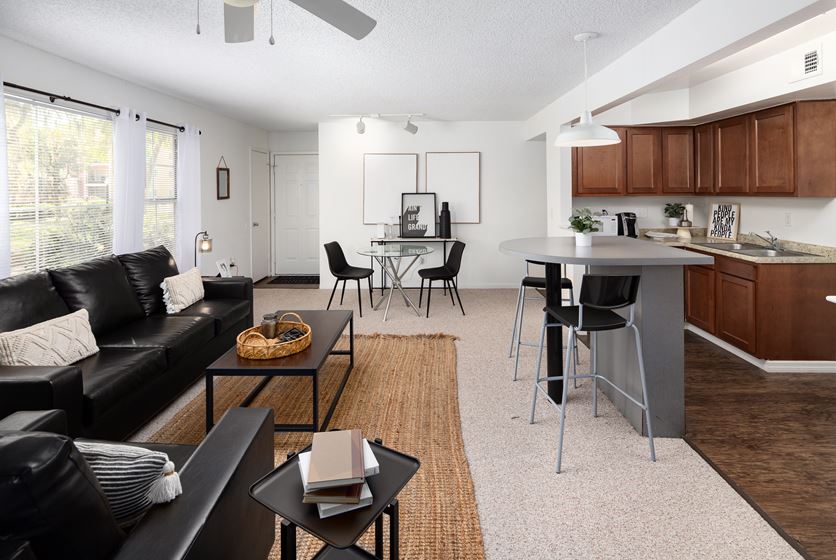 University Commons Apartments Gainesville - Swamp Rentals