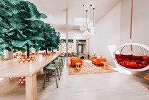 Hub on Campus 3rd Ave Student Housing near UF - Swamp Rentals