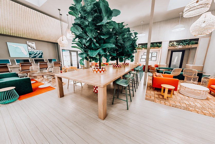 Hub on Campus 3rd Ave Student Housing near UF - Swamp Rentals