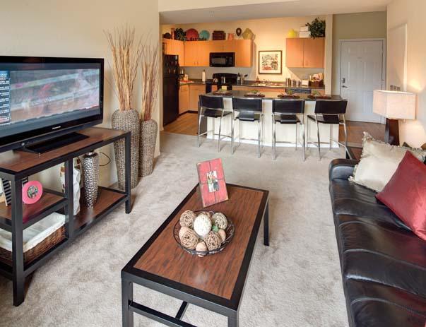 2nd Avenue Centre Apartments in Downtown Gainesville, Fl - Swamp Rentals