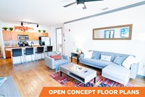 Canopy Apartments near UF in Gainesville - Swamp Rentals